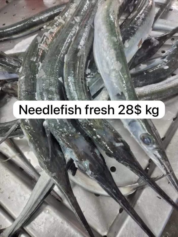 Needlefish Fresh – Mediterranean Sea food