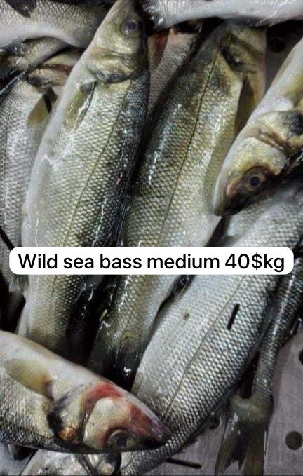 Wild Sea Bass Medium – Mediterranean Sea food